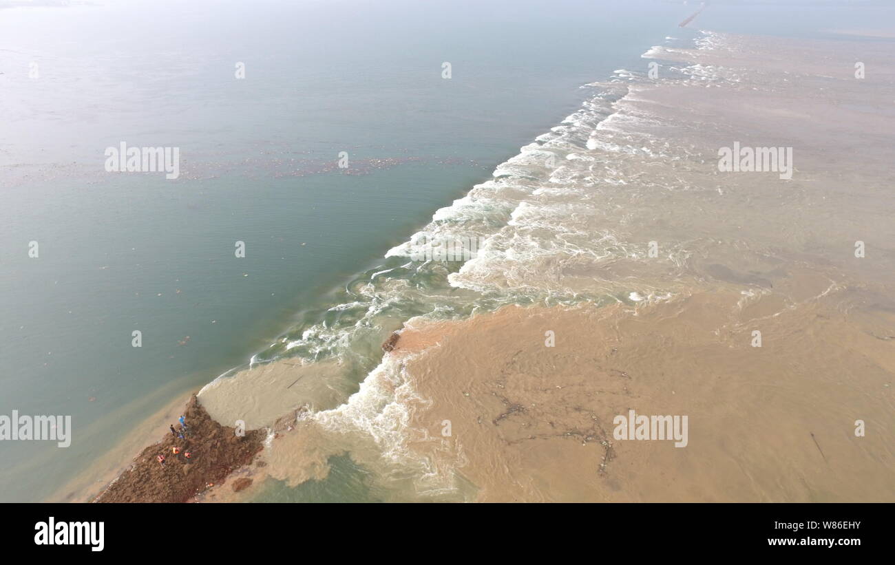Aerial view of the dike separating Liangzi Lake and Niushan Lake after ...
