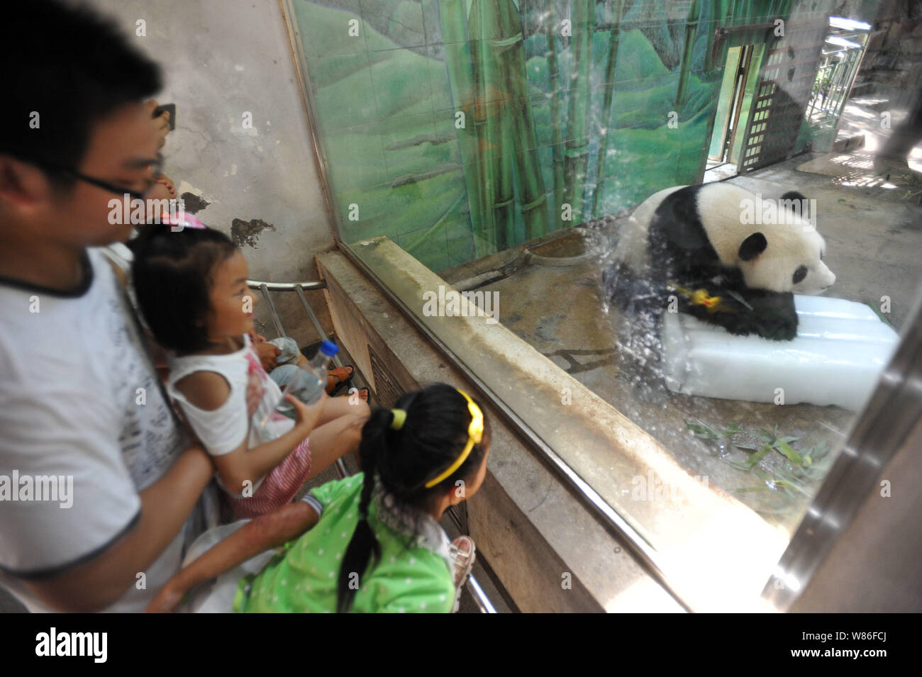 Visitors look at a giant panda lying on an ice block to cool down on a ...
