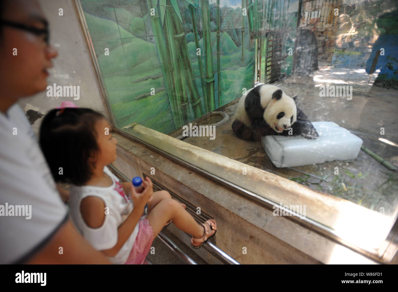 Visitors look at a giant panda lying on an ice block to cool down on a ...