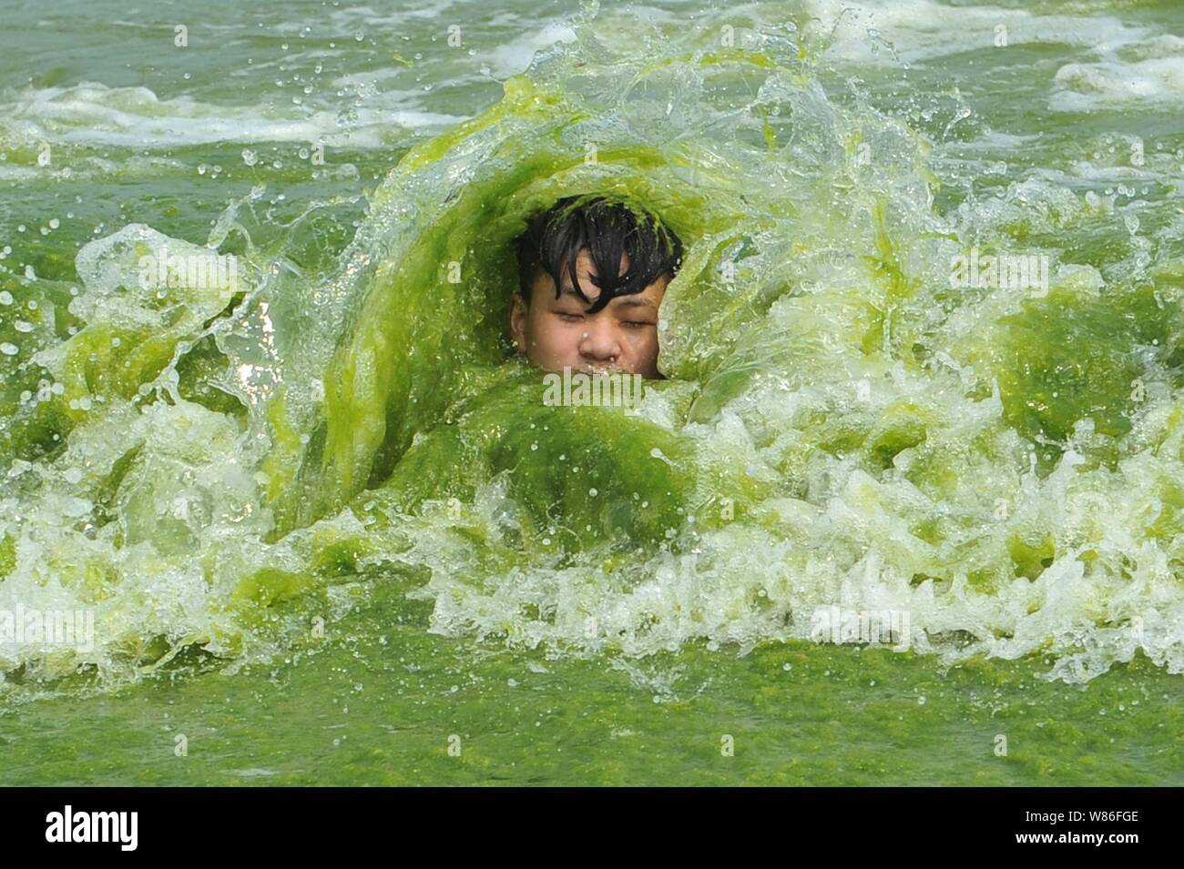 Algi hi-res stock photography and images - Alamy