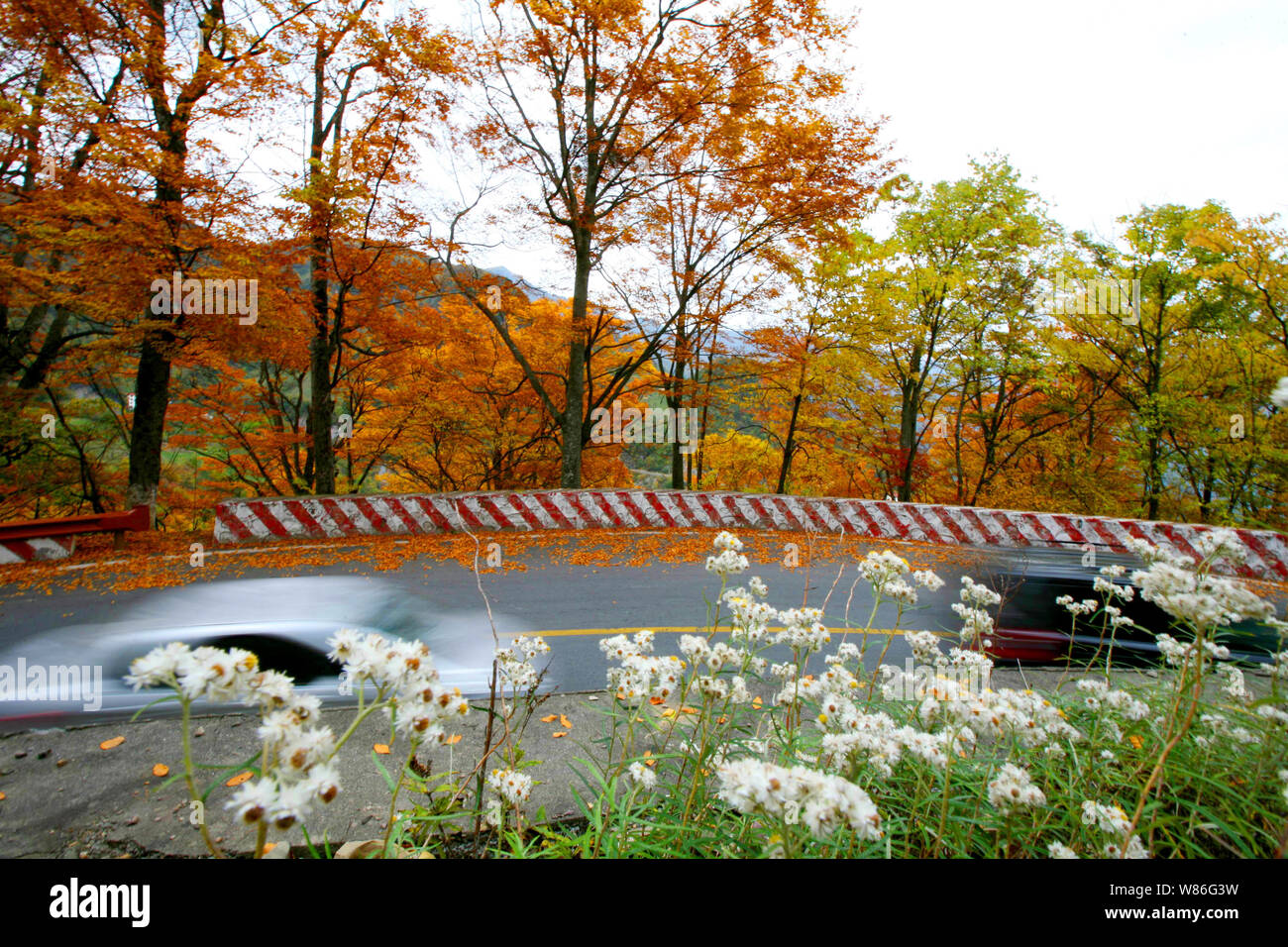 --FILE--Landscape of Shennongjia National Nature Reserve in autumn in ...