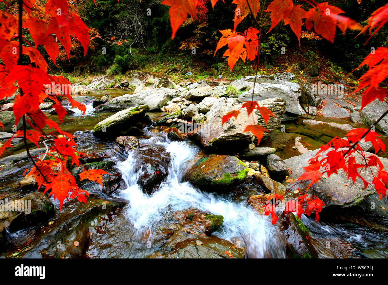 --FILE--Landscape of Shennongjia National Nature Reserve in autumn in ...