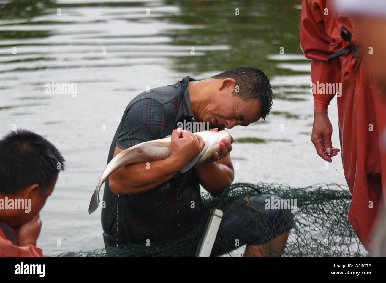 At a forced rate hi-res stock photography and images - Alamy