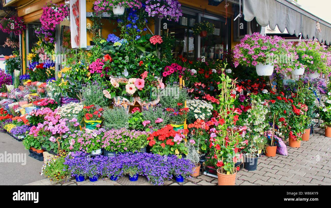 Florist shop sidewalk hi-res stock photography and images - Alamy