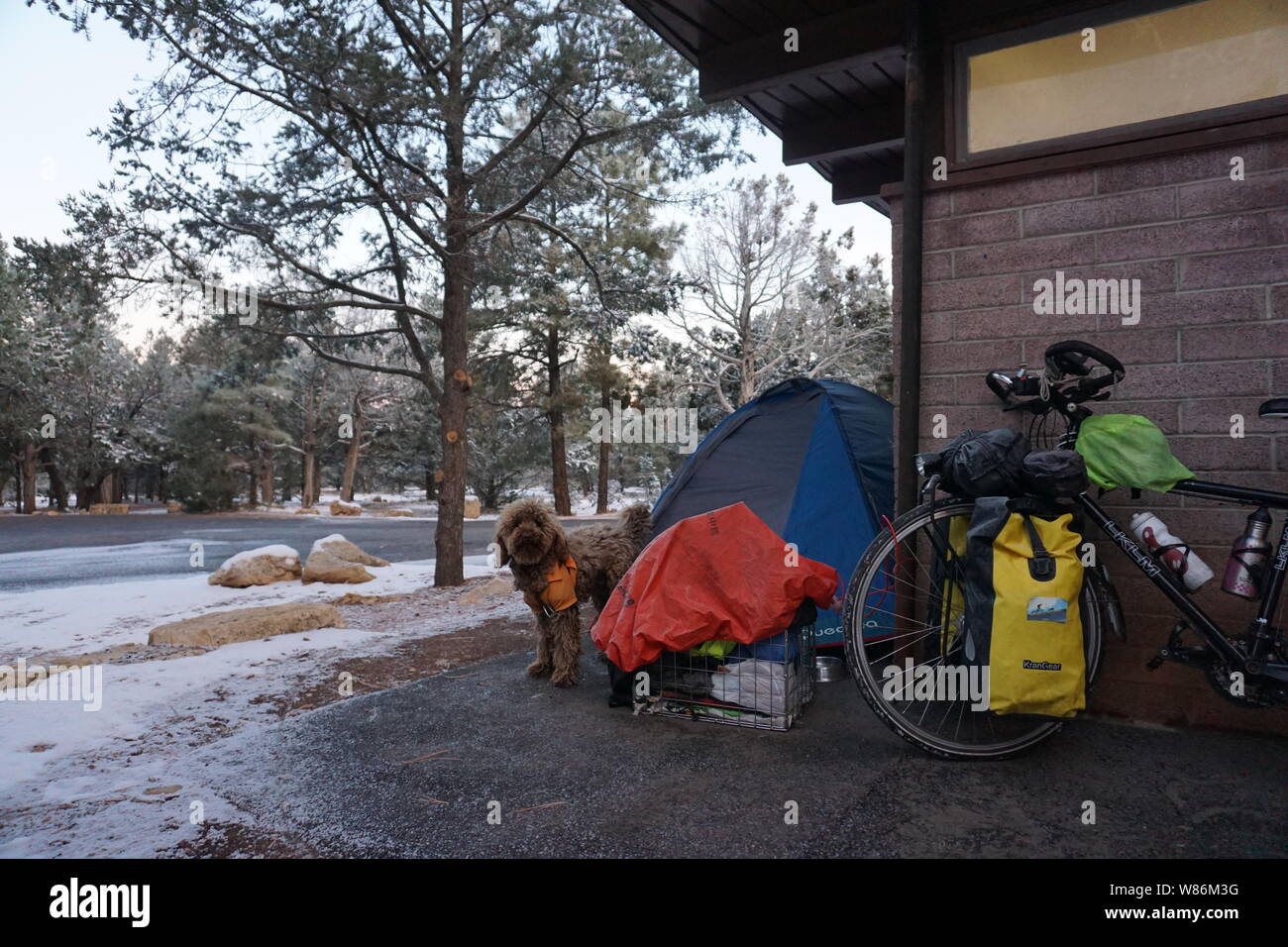 The pet dog of Chinese man Xiao Yu from Xing'an county, Guilin city ...