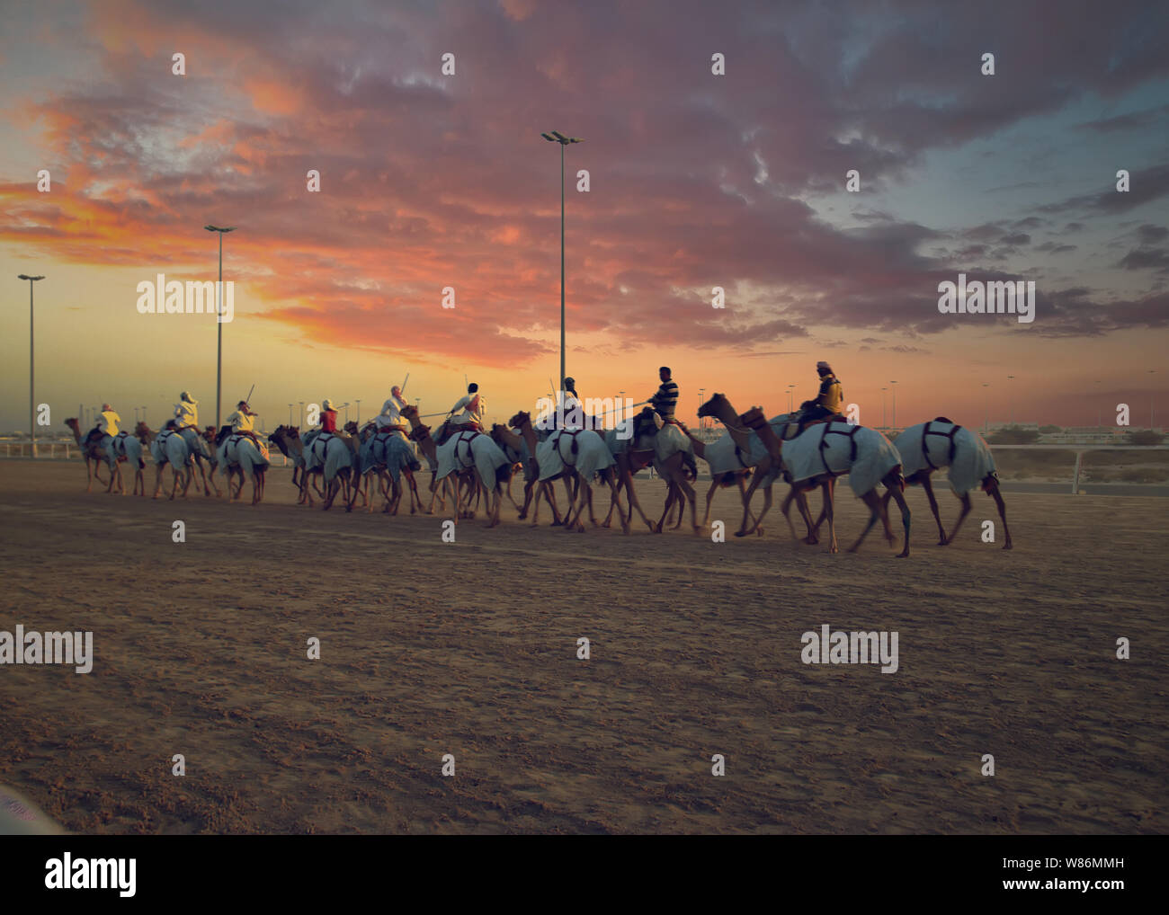 Camel sand track hi-res stock photography and images - Alamy