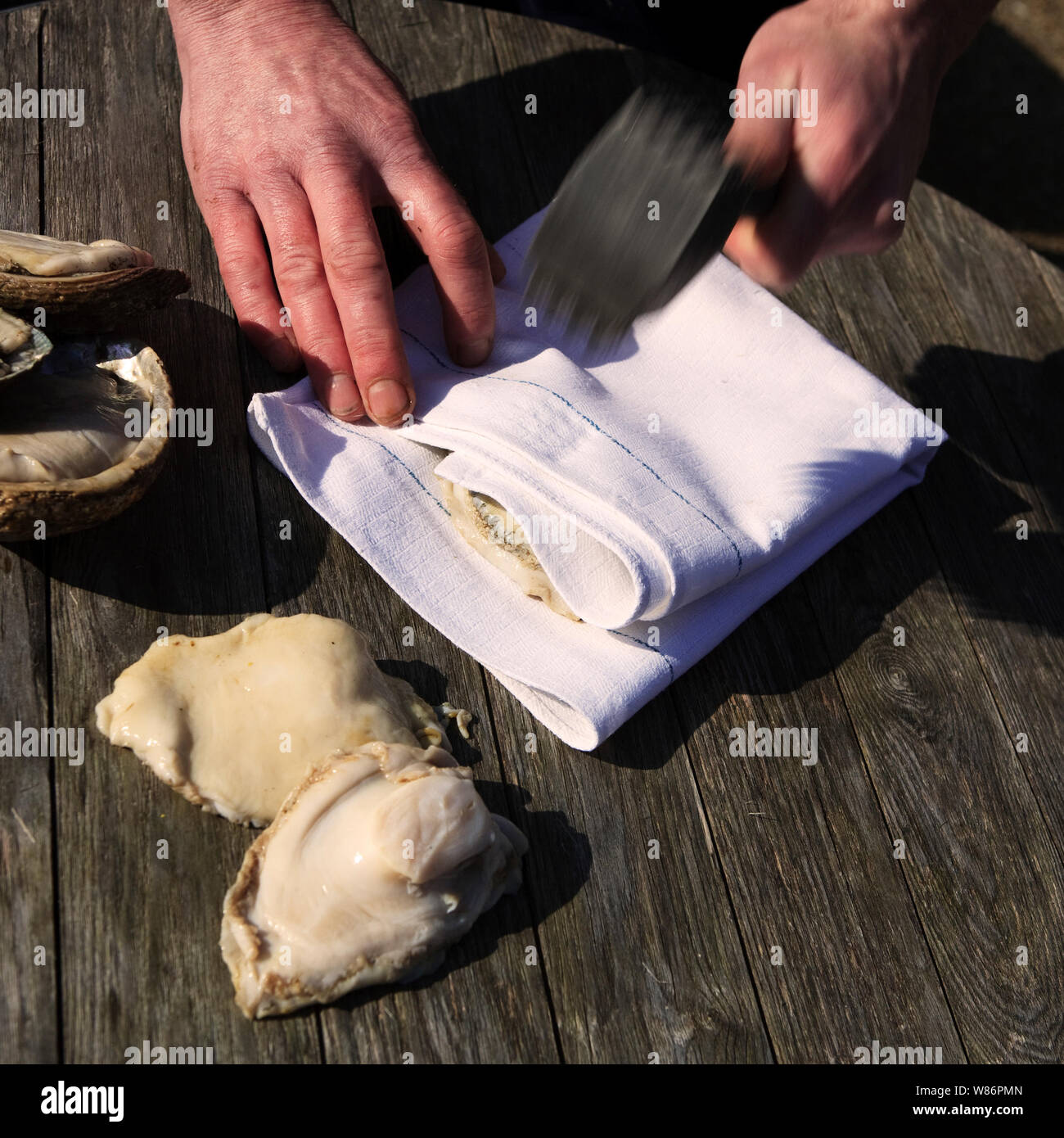 Ormer hi-res stock photography and images - Alamy