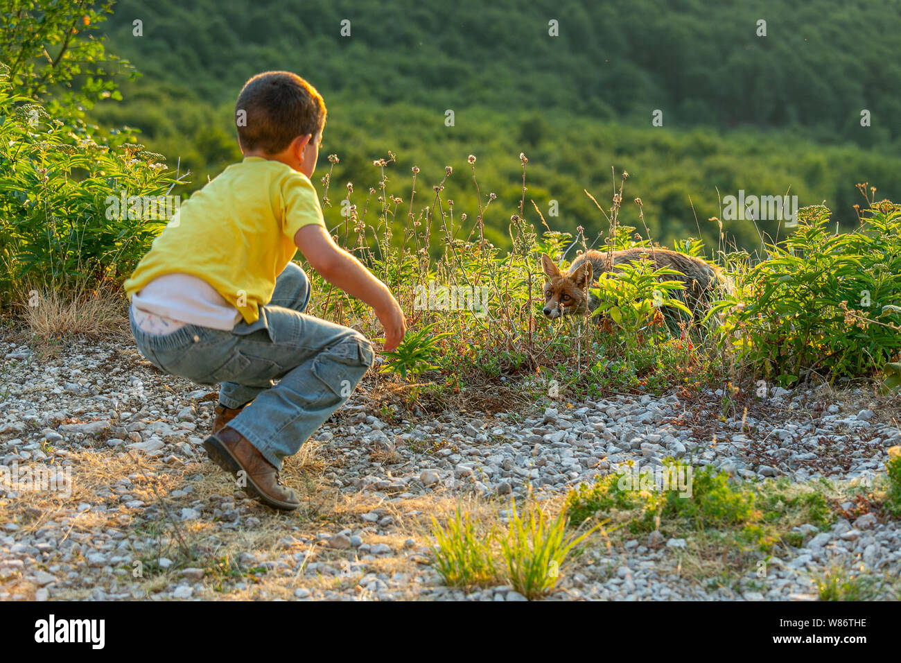 Human animal interaction hi-res stock photography and images - Alamy