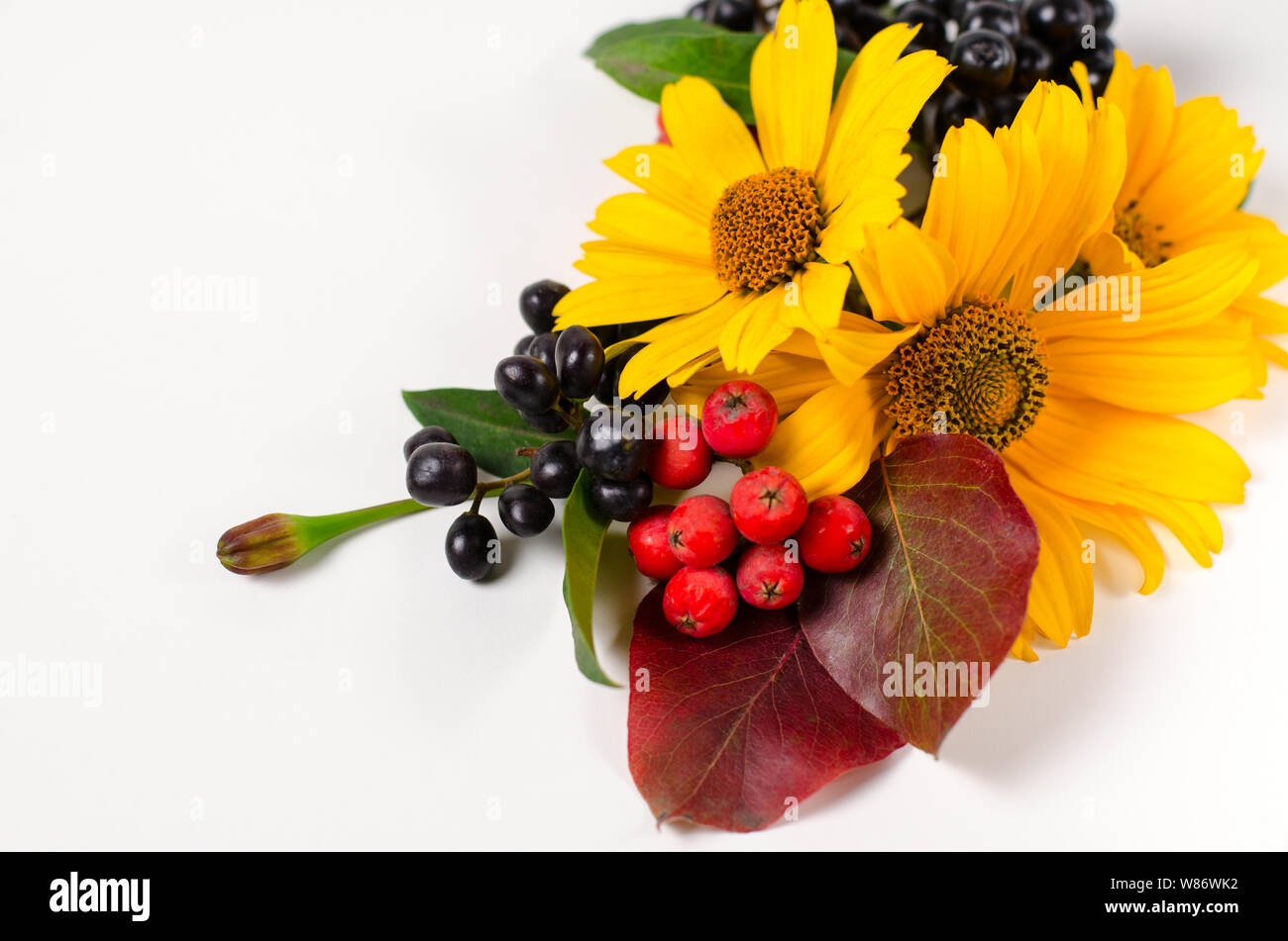 Floral composition of yellow daisies, red autumn leaves and berries ...