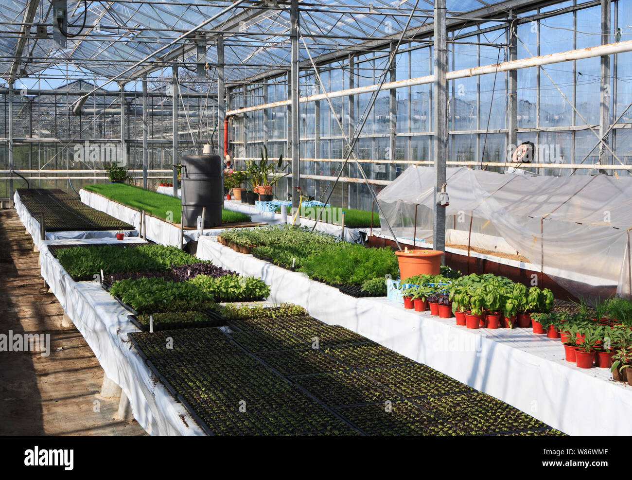 Farming farm greenhouse greenhouses hi-res stock photography and images ...