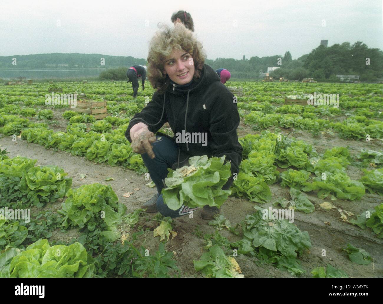 Germany in 1990 hi-res stock photography and images - Alamy