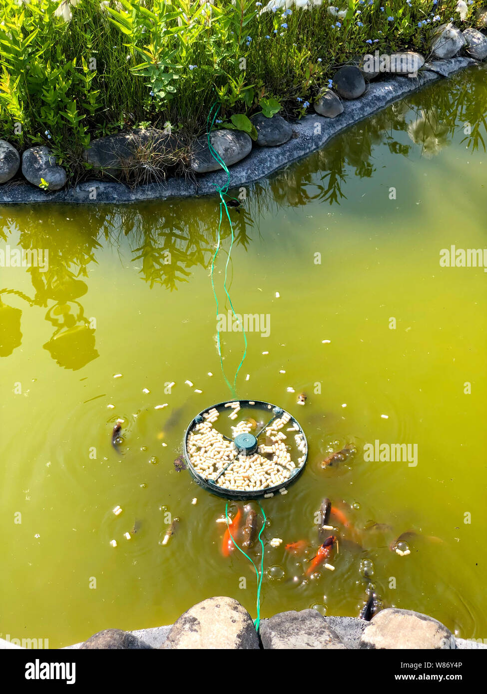 Fish pond d hi-res stock photography and images - Alamy