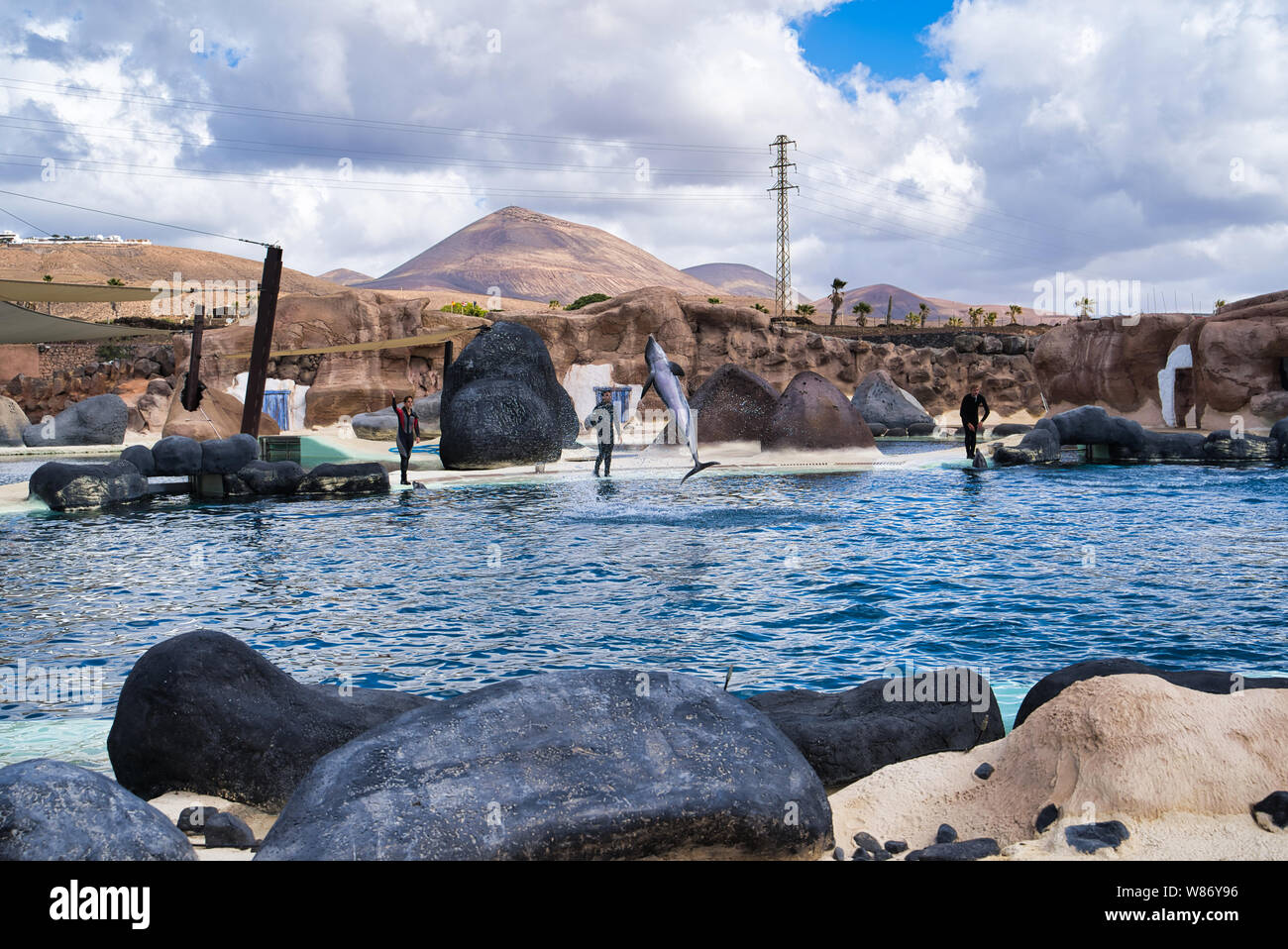 Zoo park lanzarote hi-res stock photography and images - Alamy