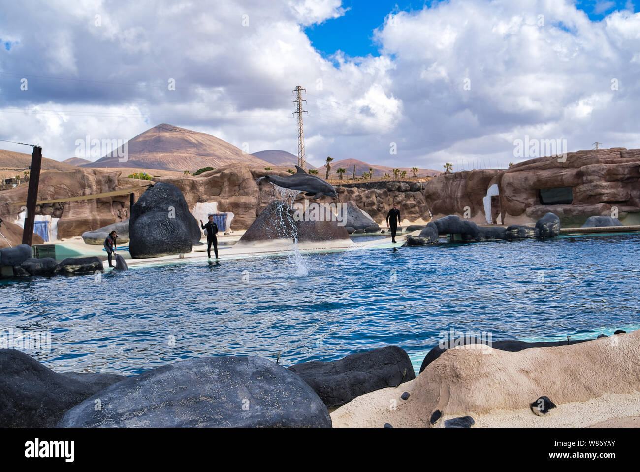 Zoo Park Lanzarote High Resolution Stock Photography and Images - Alamy