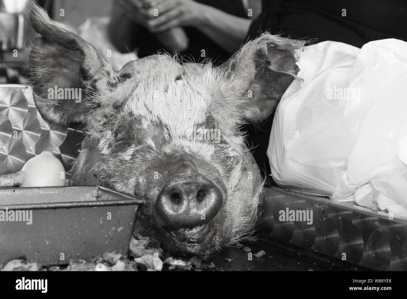 Human diet hi-res stock photography and images - Alamy