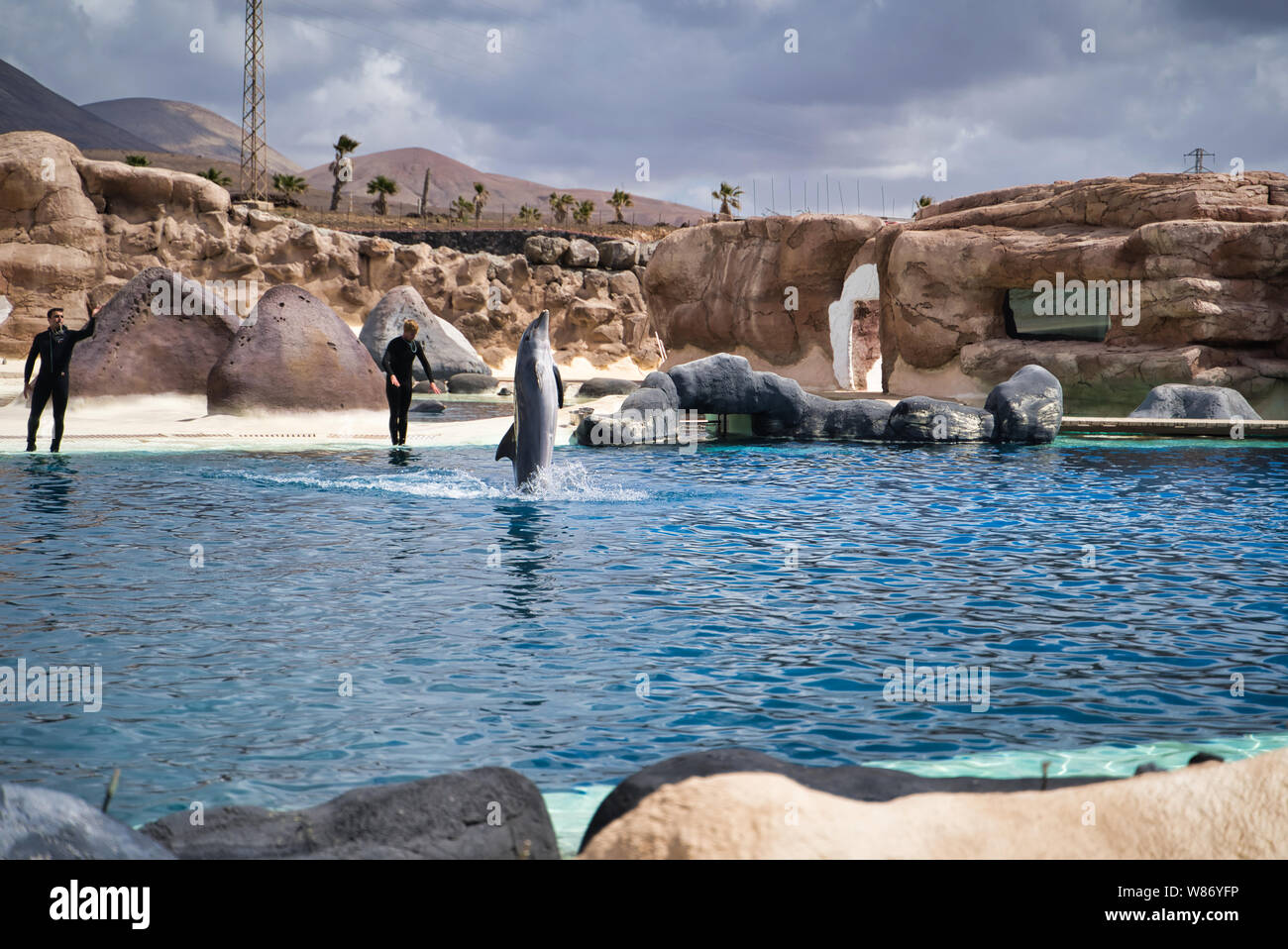 Zoo Park Lanzarote High Resolution Stock Photography and Images - Alamy