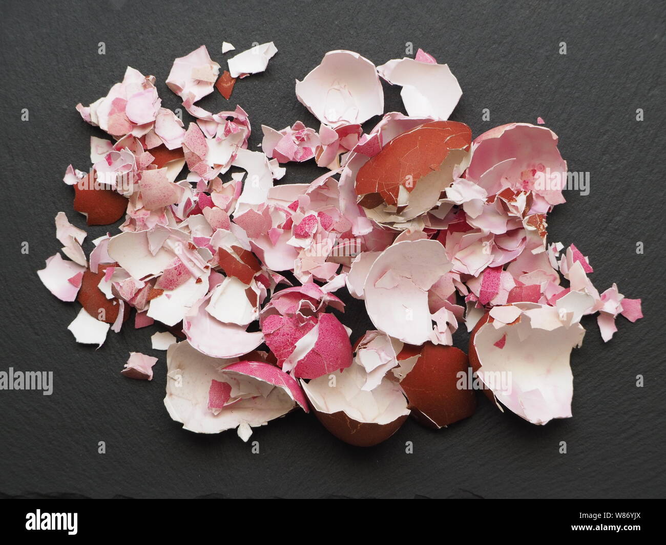 Broken eggshell painted easter hi-res stock photography and images - Alamy