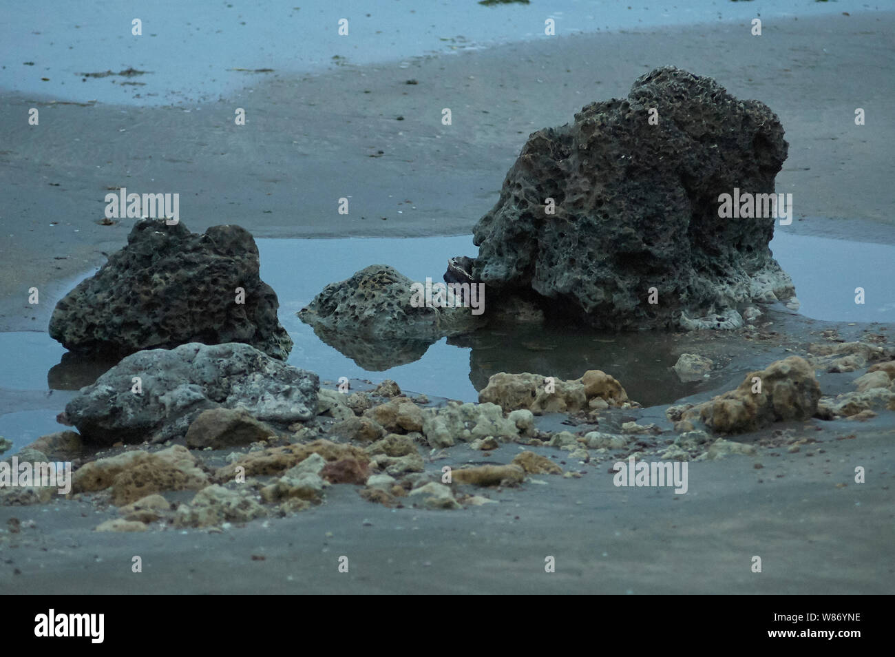 Shaped limestone hi-res stock photography and images - Alamy