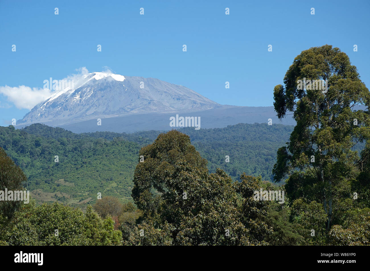 Kibo peak of Mt. Kilimanjaro as seen from Maua village Stock Photo - Alamy