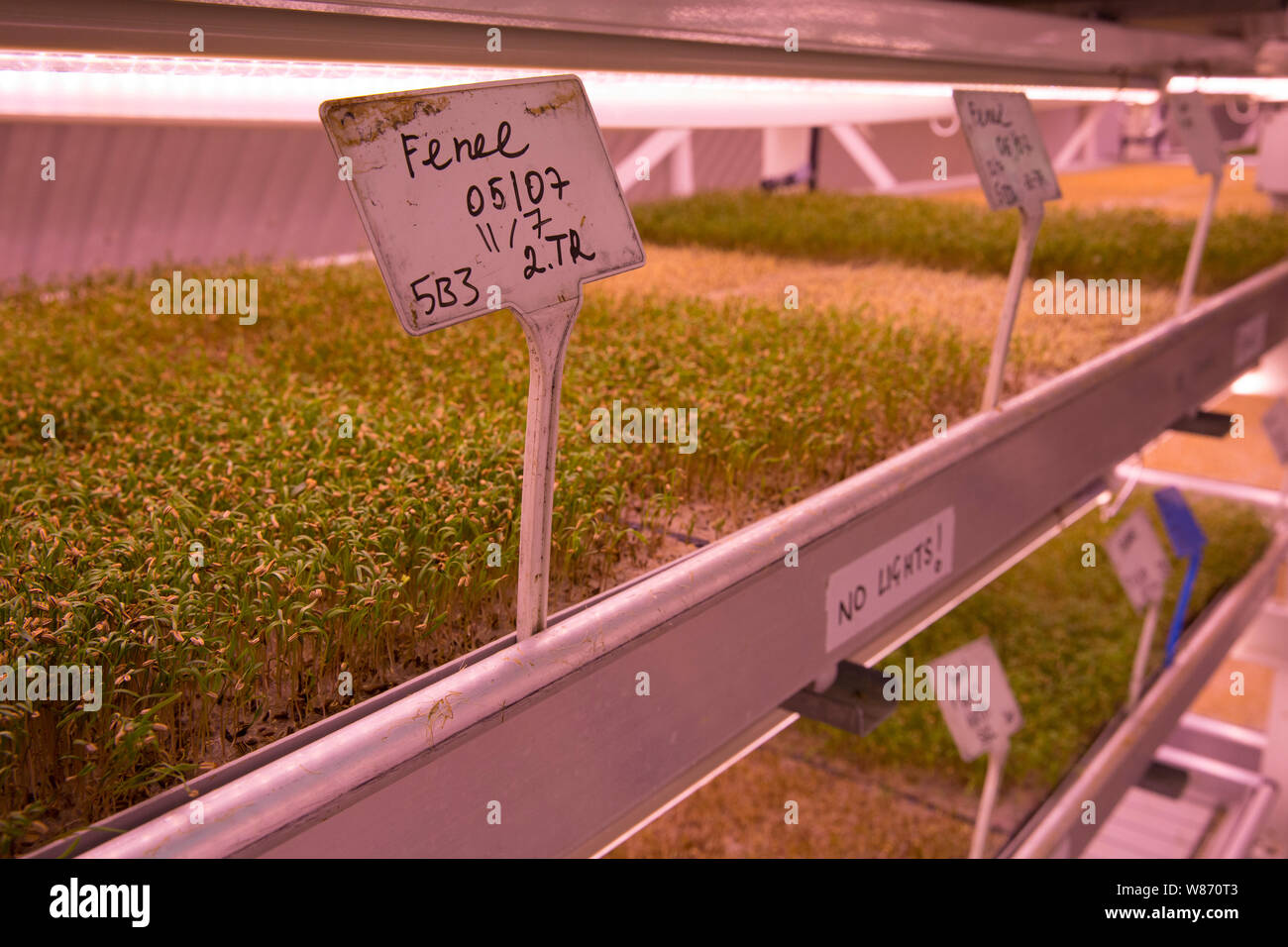 Growing Underground’s vertical farm 100 feet below ground in Clapham ...