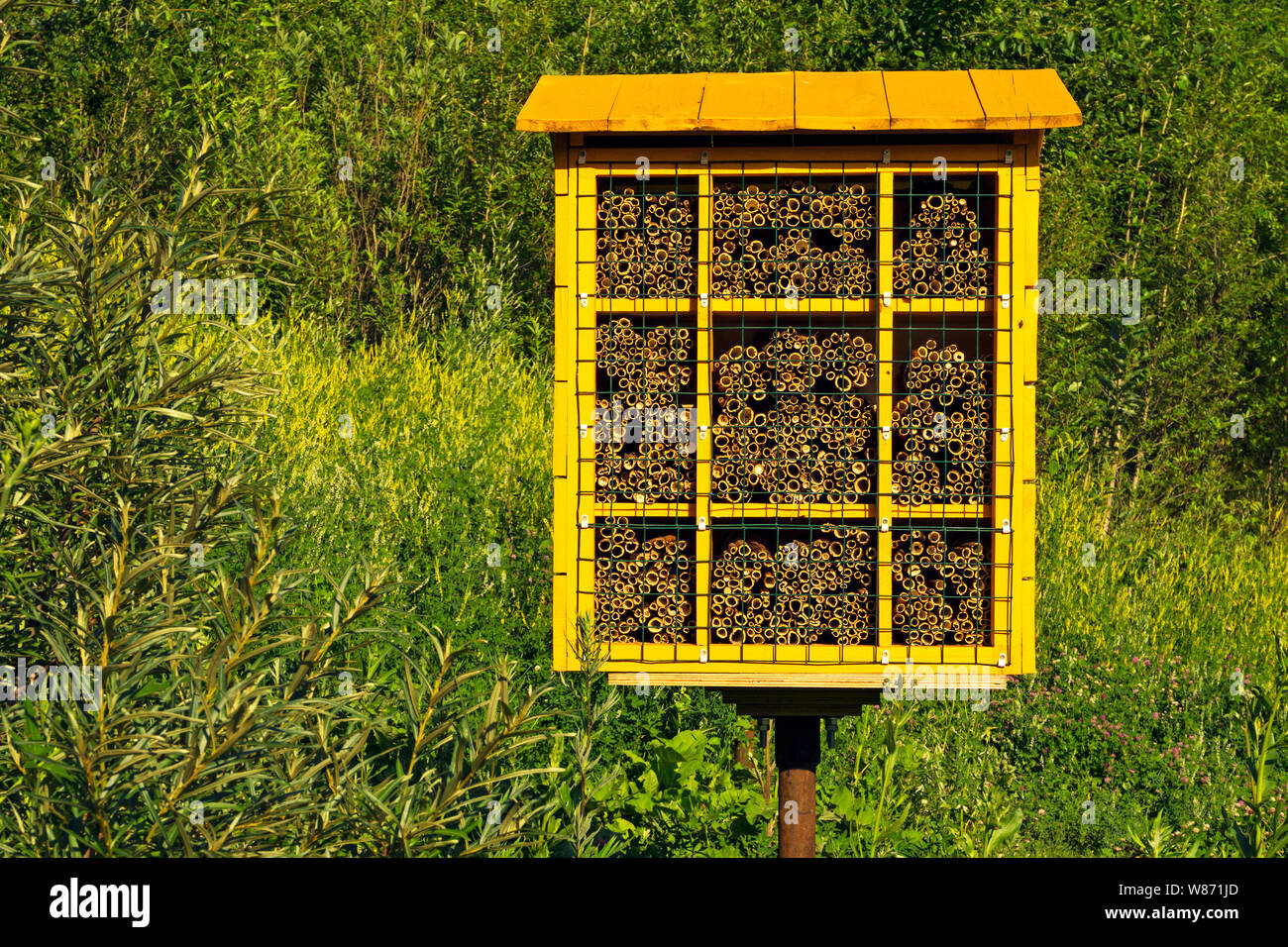 homemade artificial nest block for wild solitary mason bees for ...