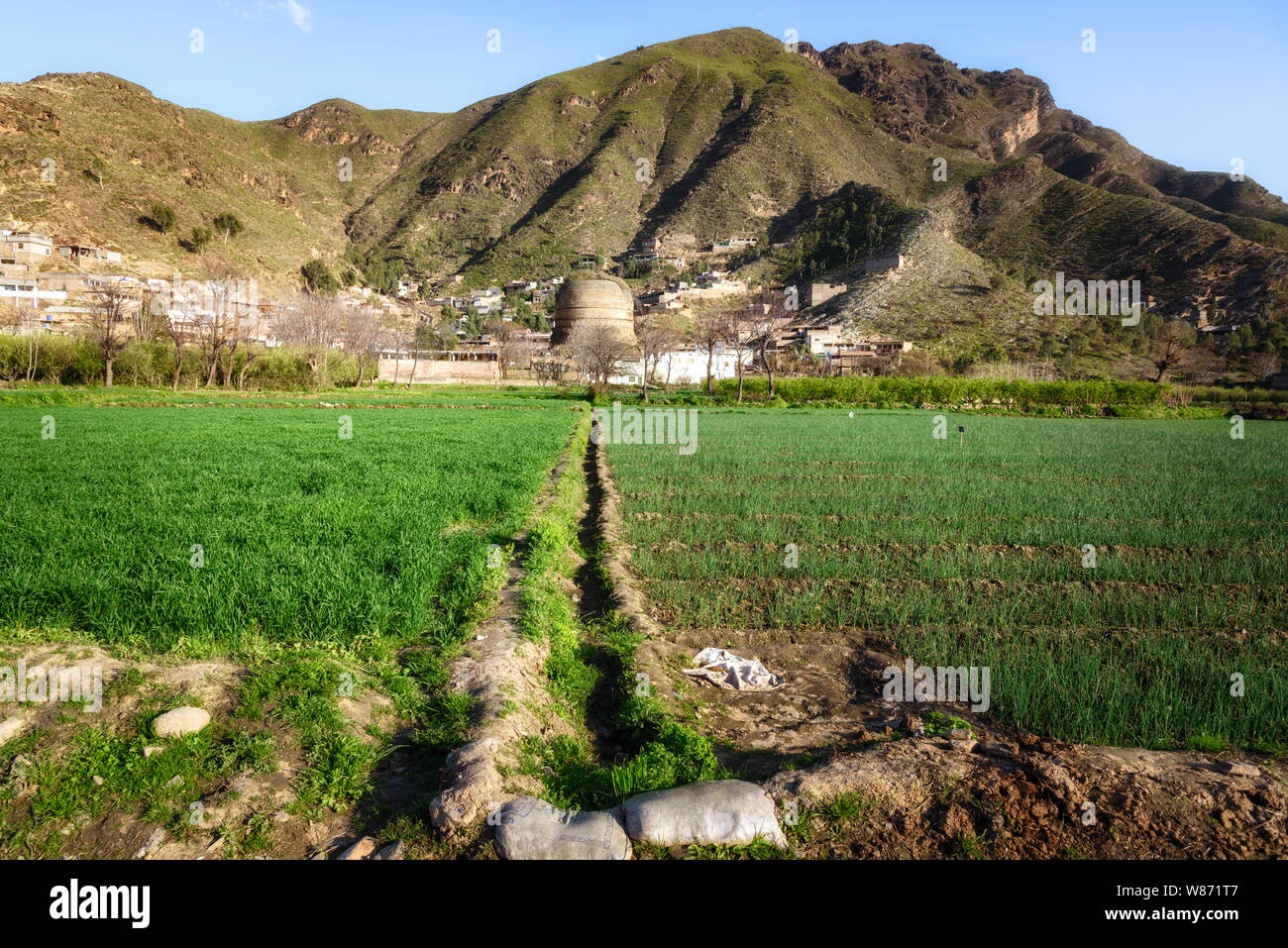 Swat archeology hi-res stock photography and images - Alamy