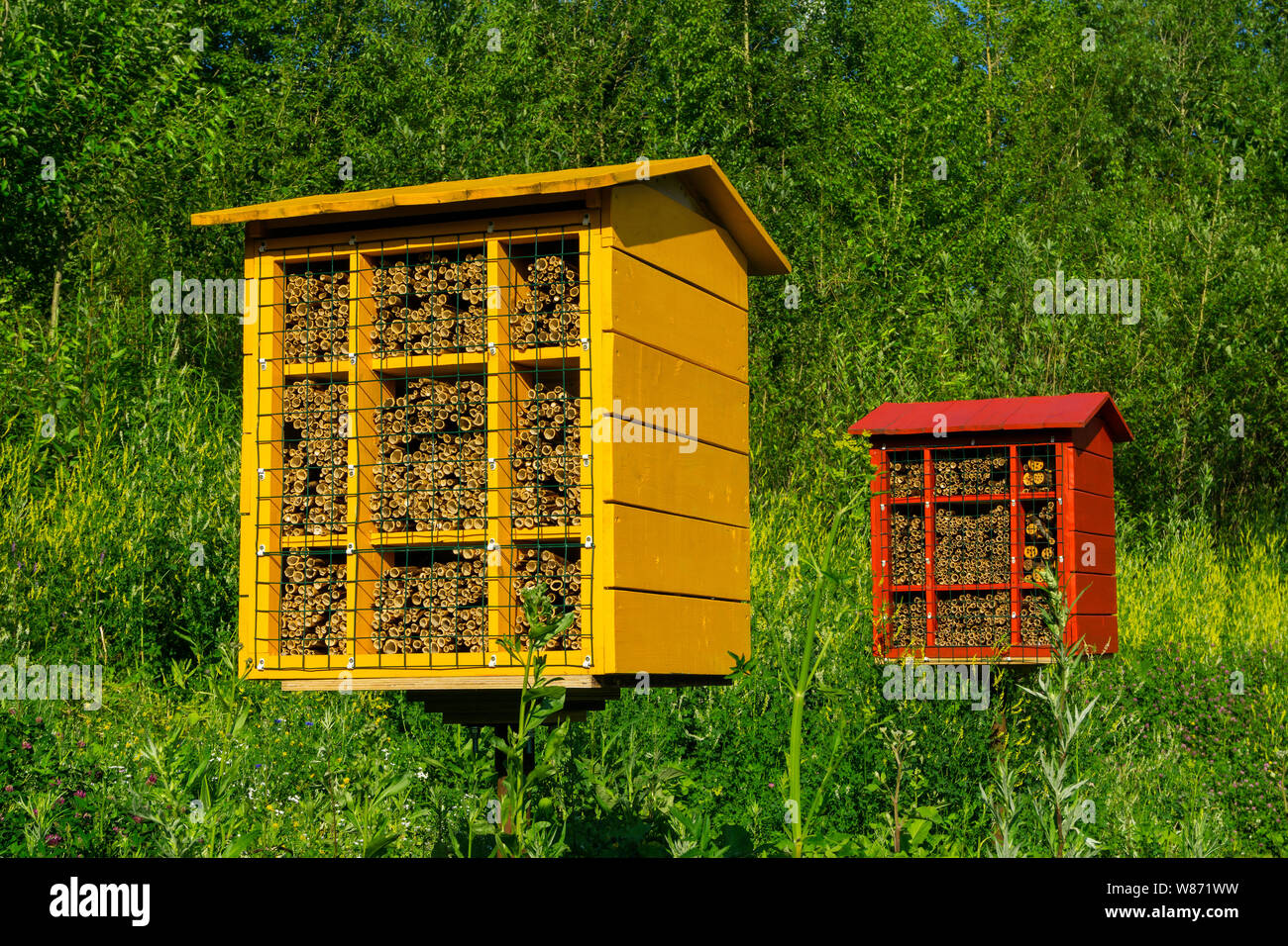 multicolored artificial nest blocks for wild solitary mason bees for ...
