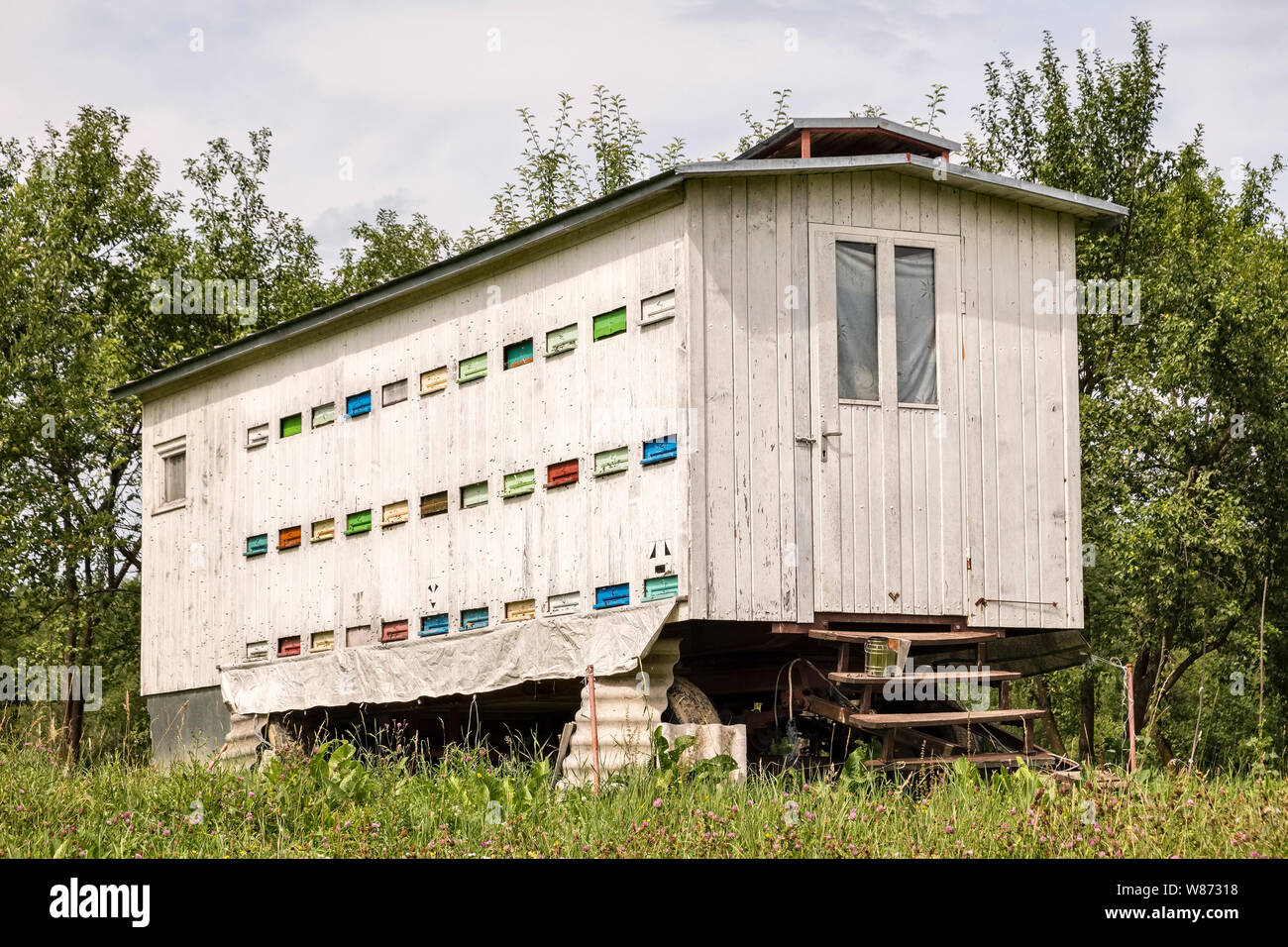 Maramureş, northern Romania. Beehives fitted into a mobile trailer, so ...