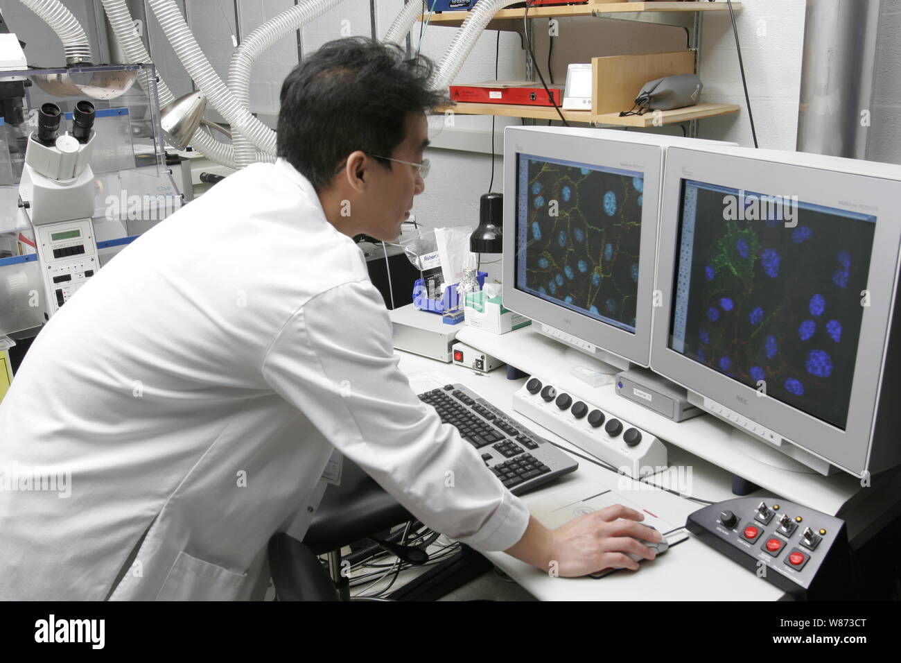 Medical researcher looks at images from an electron microscope in a ...