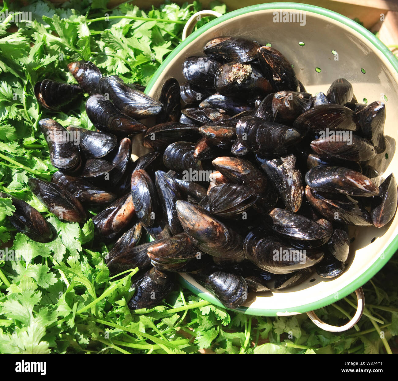 Smmer hi-res stock photography and images - Alamy