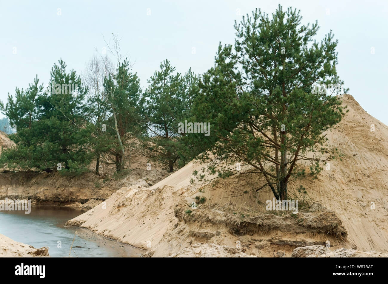 sand quarry, sand mining, mound of sand among the trees Stock Photo - Alamy