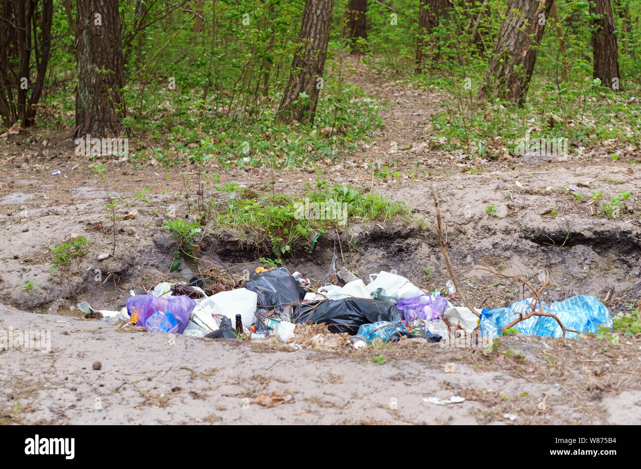 household garbage in the woods, the trash in the nature of people Stock ...