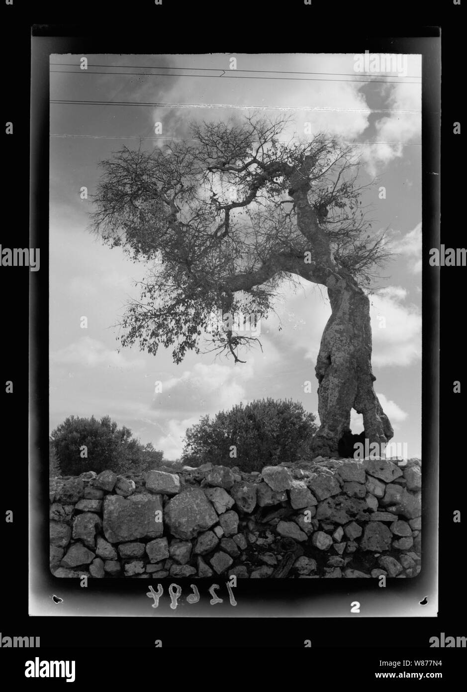 Arabic photography Black and White Stock Photos & Images - Alamy