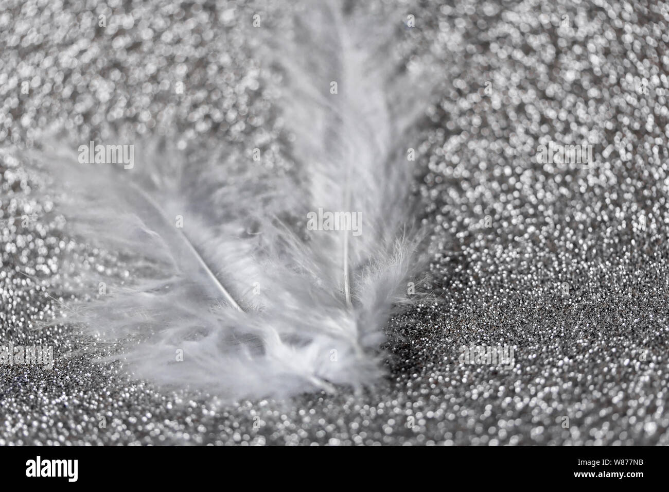 Gentle magical silver background with white feather. Macro photo Stock ...