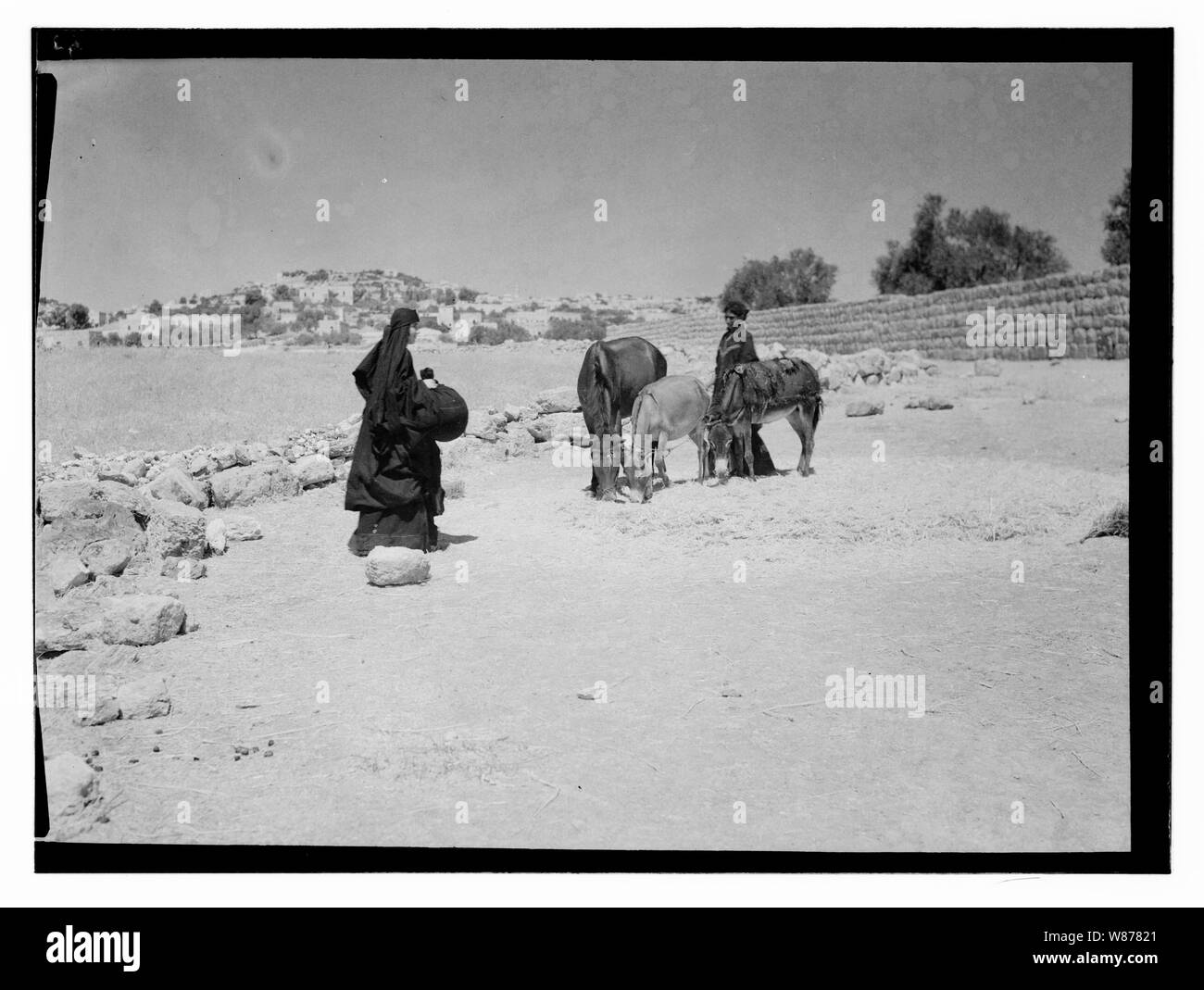 The story of ruth Cut Out Stock Images & Pictures - Alamy