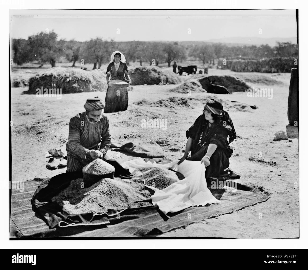 Story of ruth Cut Out Stock Images & Pictures - Alamy