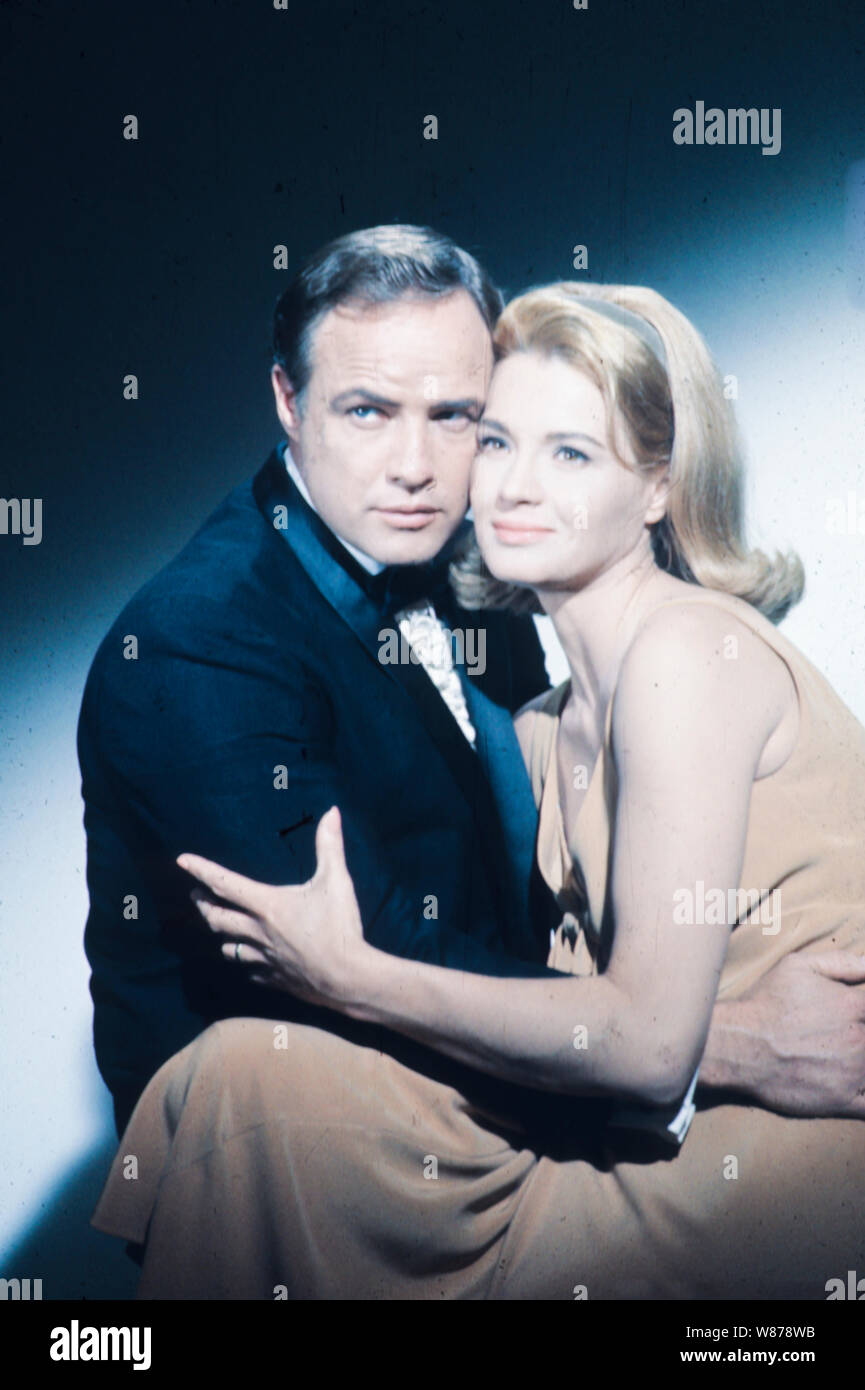 Angie dickinson actress hi-res stock photography and images - Alamy