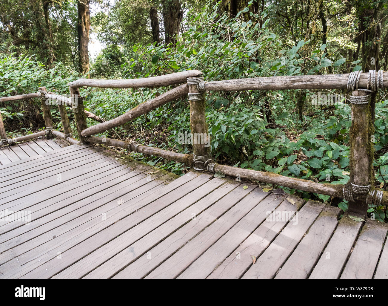 Wooden bridge with the timber railing in the nature trail on the top of ...