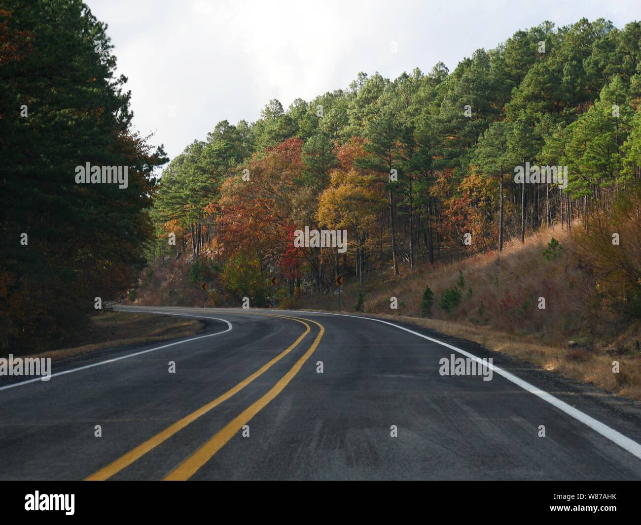 Scenic road with colorful trees at Fall Stock Photo - Alamy