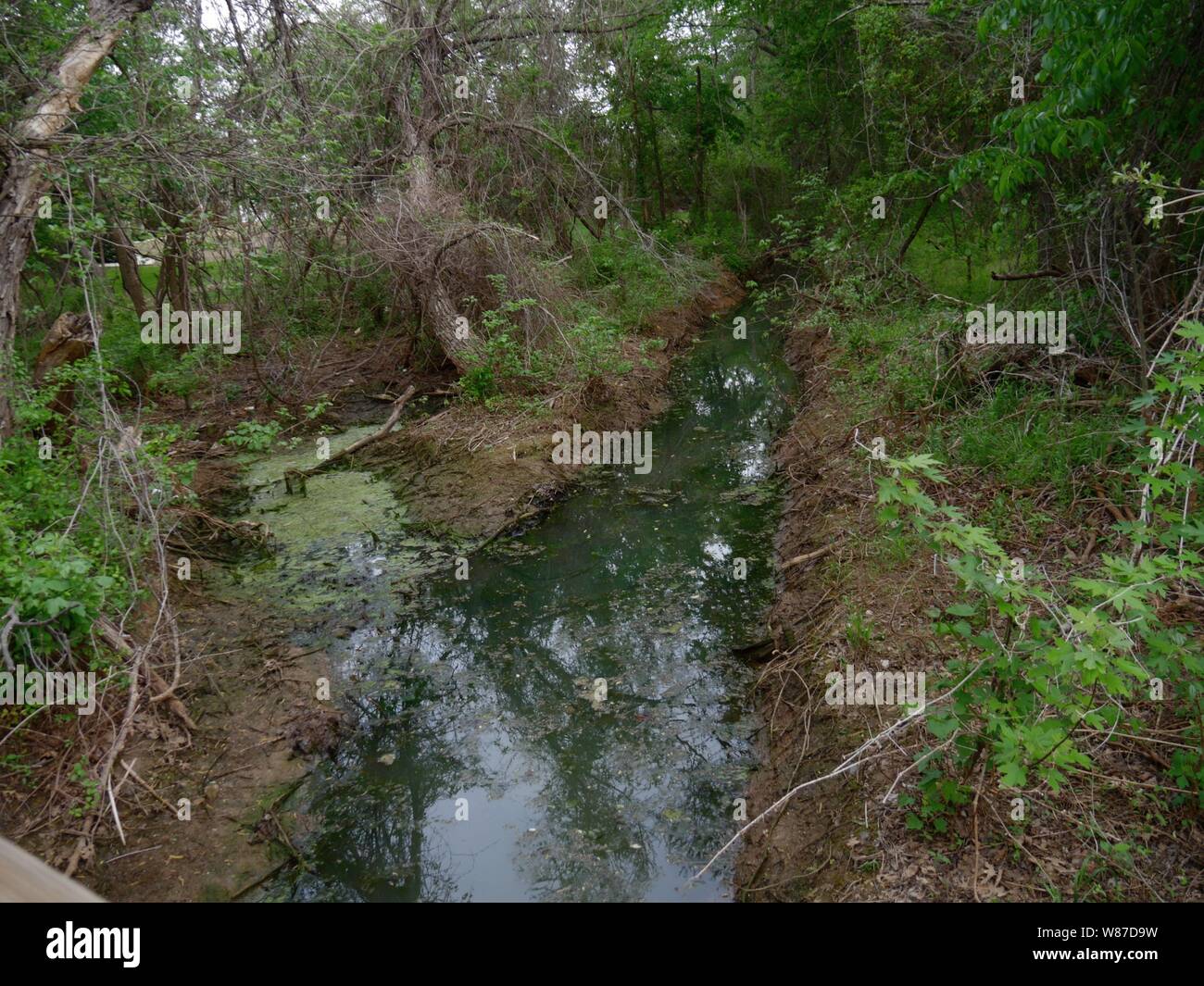 Murky swampy lake hi-res stock photography and images - Alamy