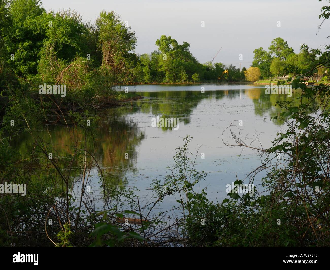 Breathtaking view of a lake, with the trees and foliage reflected in ...
