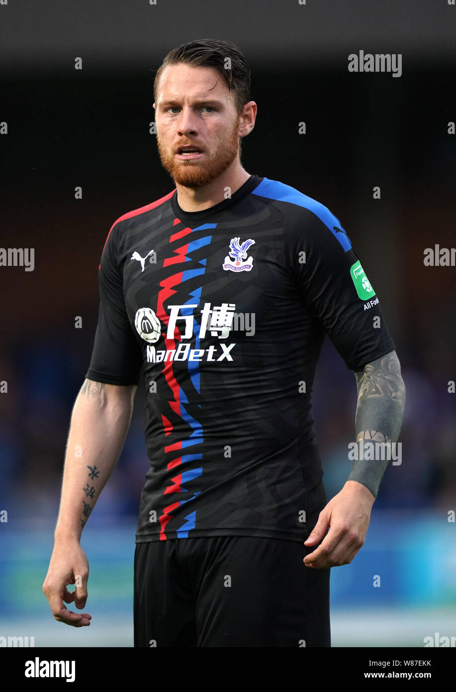 Crystal Palace's Connor Wickham Stock Photo - Alamy