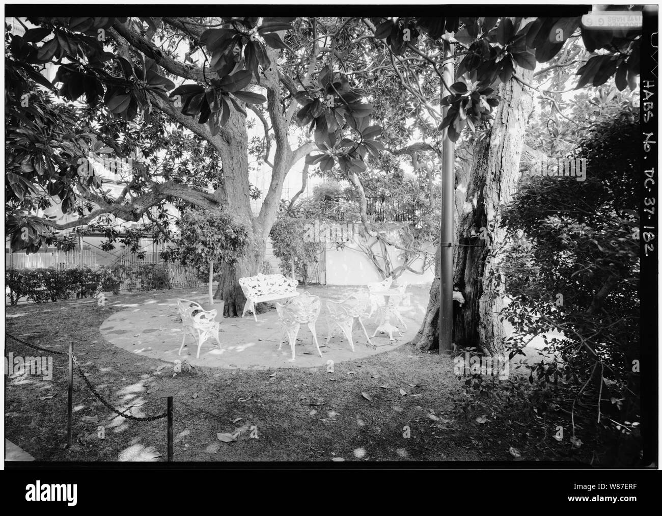 Flank area Black and White Stock Photos & Images - Alamy