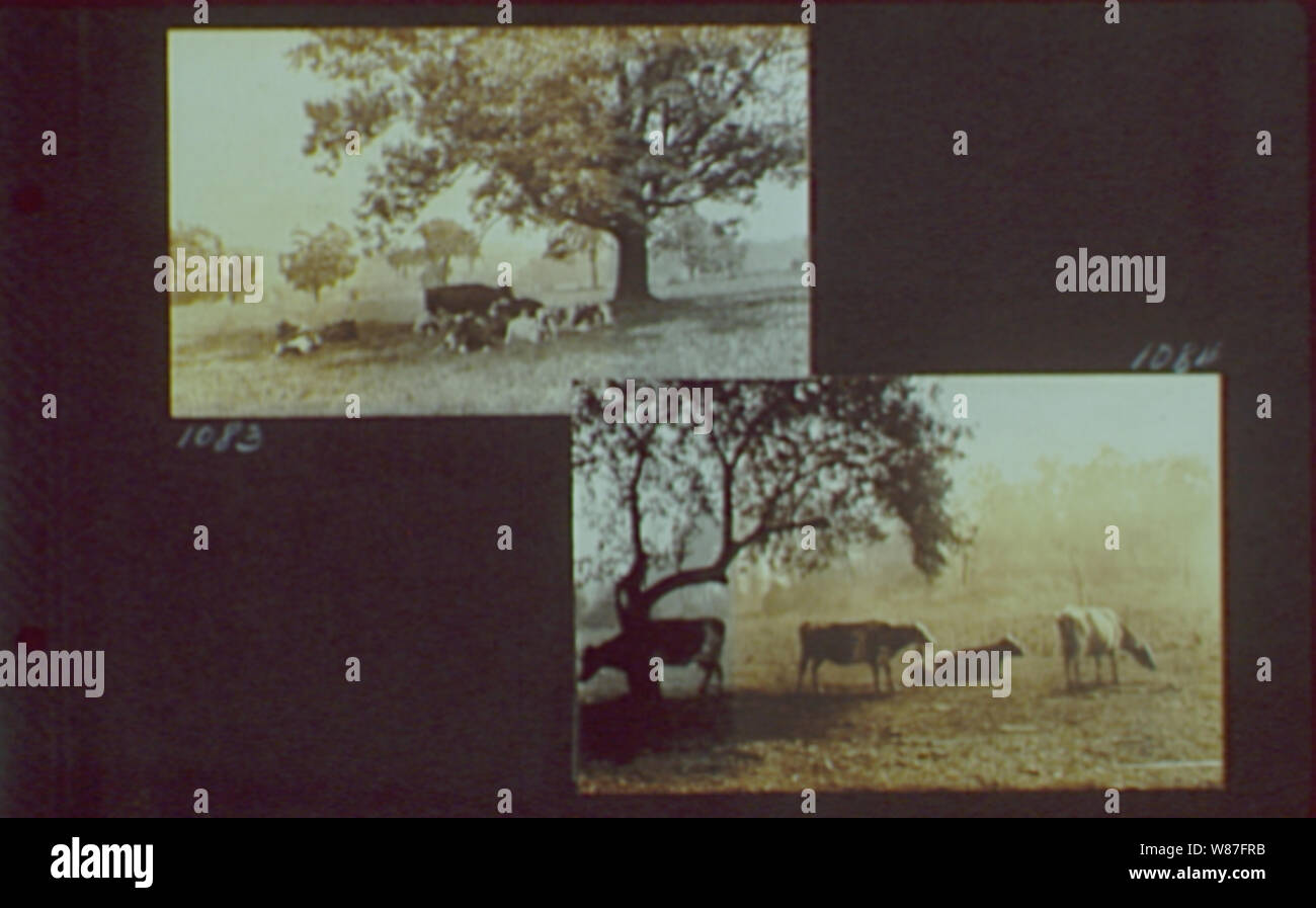 Reference image for restoration hi-res stock photography and images - Alamy