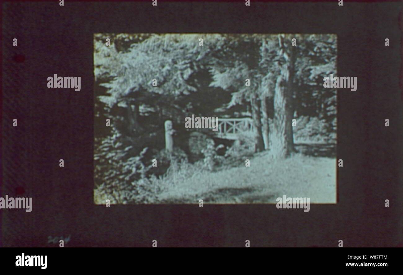 1917 prints hi-res stock photography and images - Alamy