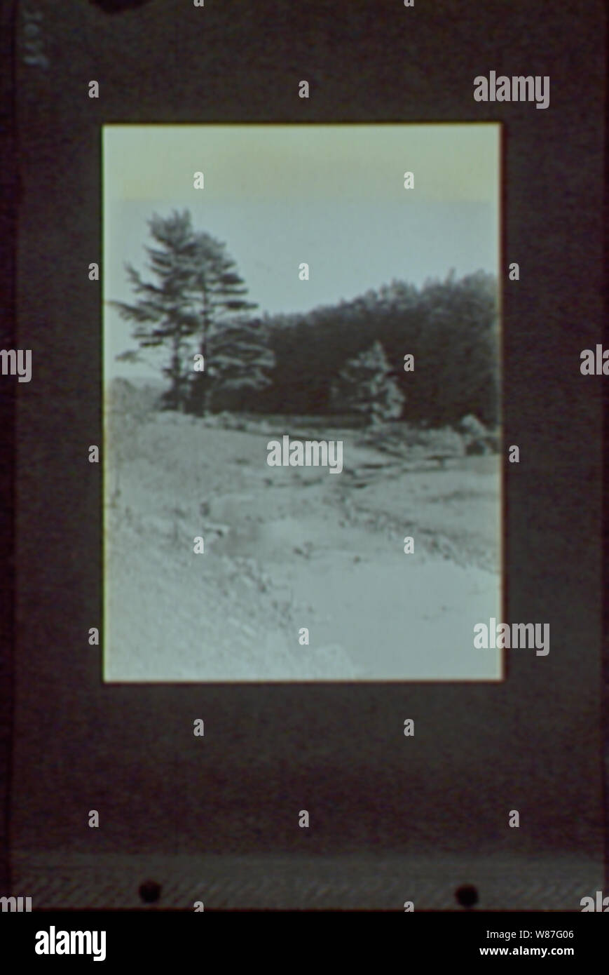 1917-1918, reference prints from negatives Stock Photo - Alamy