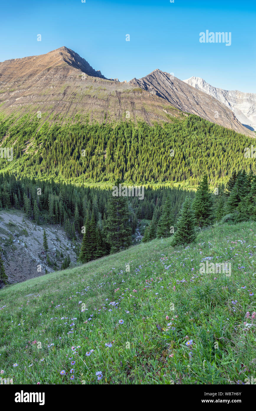 Highwood Pass in Peter Lougheed Provincial Park, Alberta, Canada Stock ...
