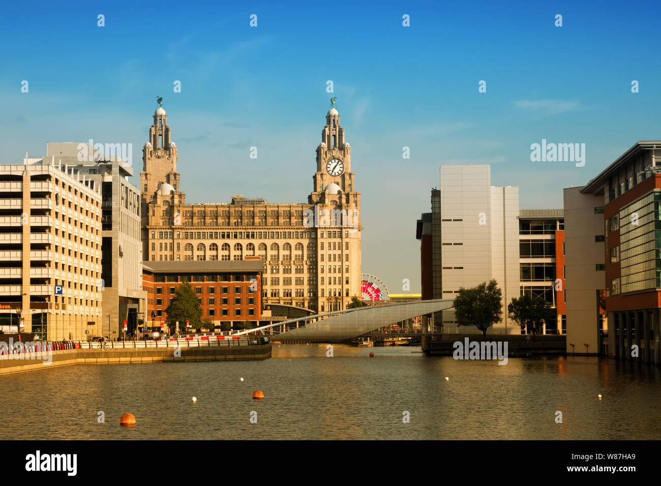 Liver offices hi-res stock photography and images - Alamy