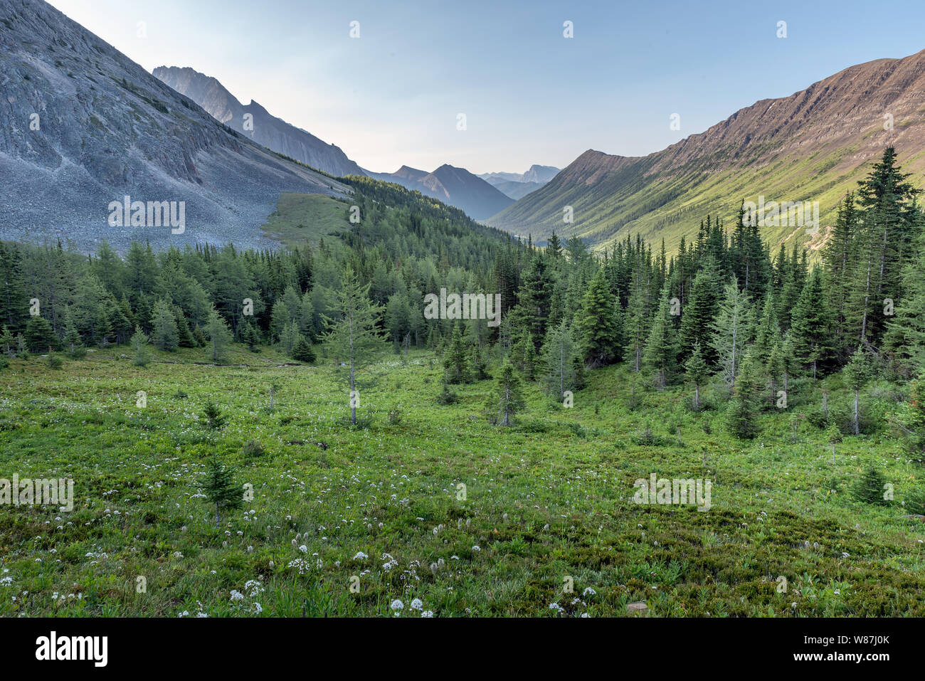 Highwood Pass in Peter Lougheed Provincial Park, Alberta, Canada Stock ...