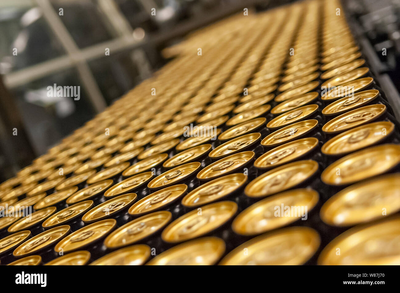 Rows of beer cans in a brewery canning plant Stock Photo - Alamy